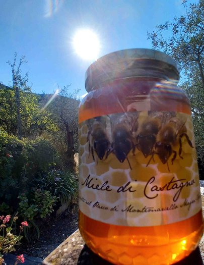 Apicoltura Allegri Luca | Adopt a bee